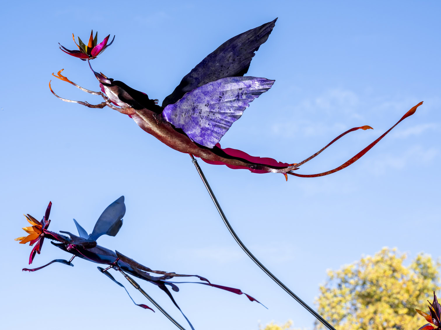 Artist in Focus: Vladimir Lalić | Contemporary Lynx - print and online ...