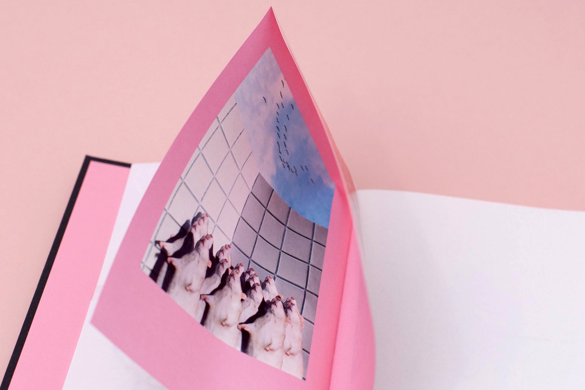 11 photobooks from Paper Photo Festival 2025 to know | Contemporary ...